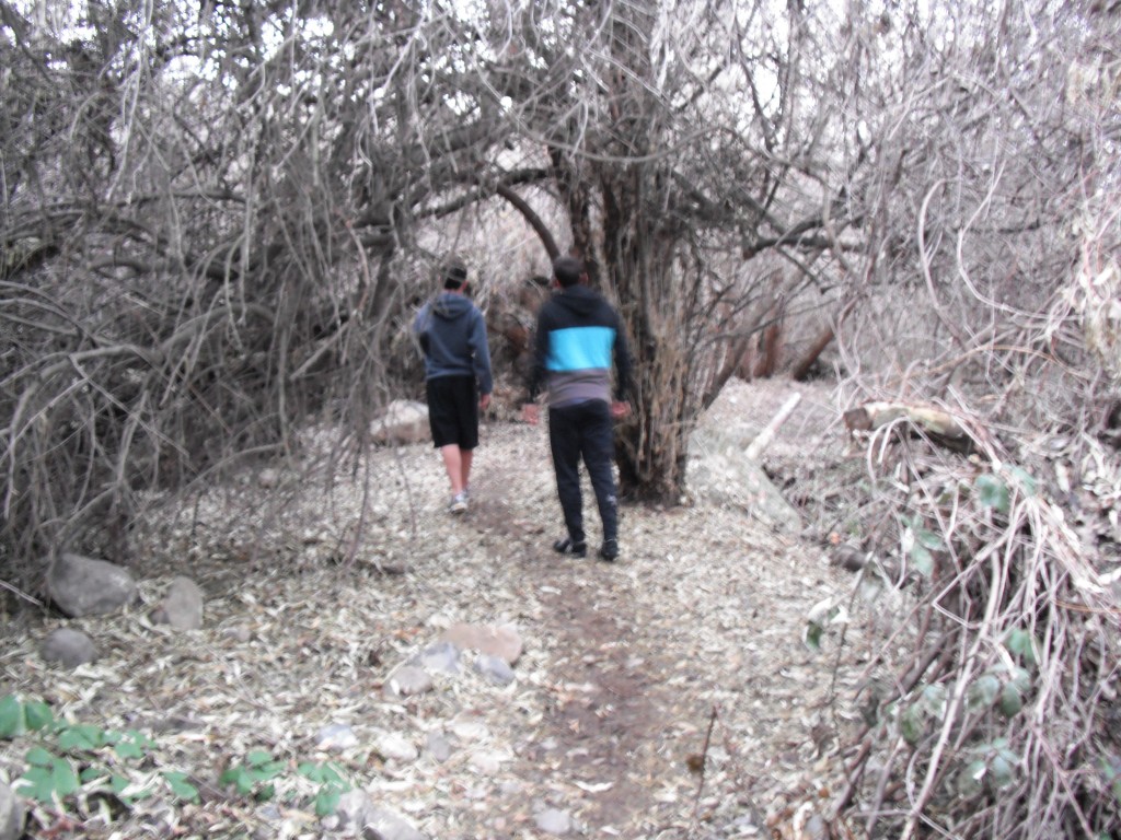 Winter In Zintel Canyon
