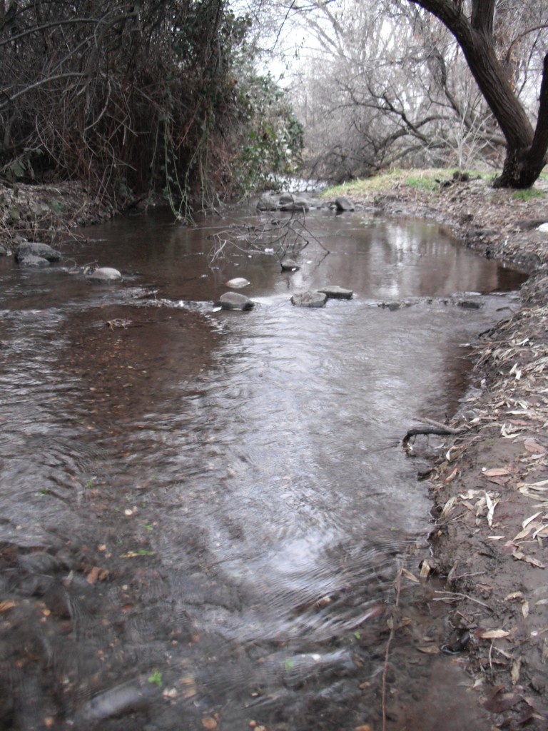 Winter In Zintel Canyon