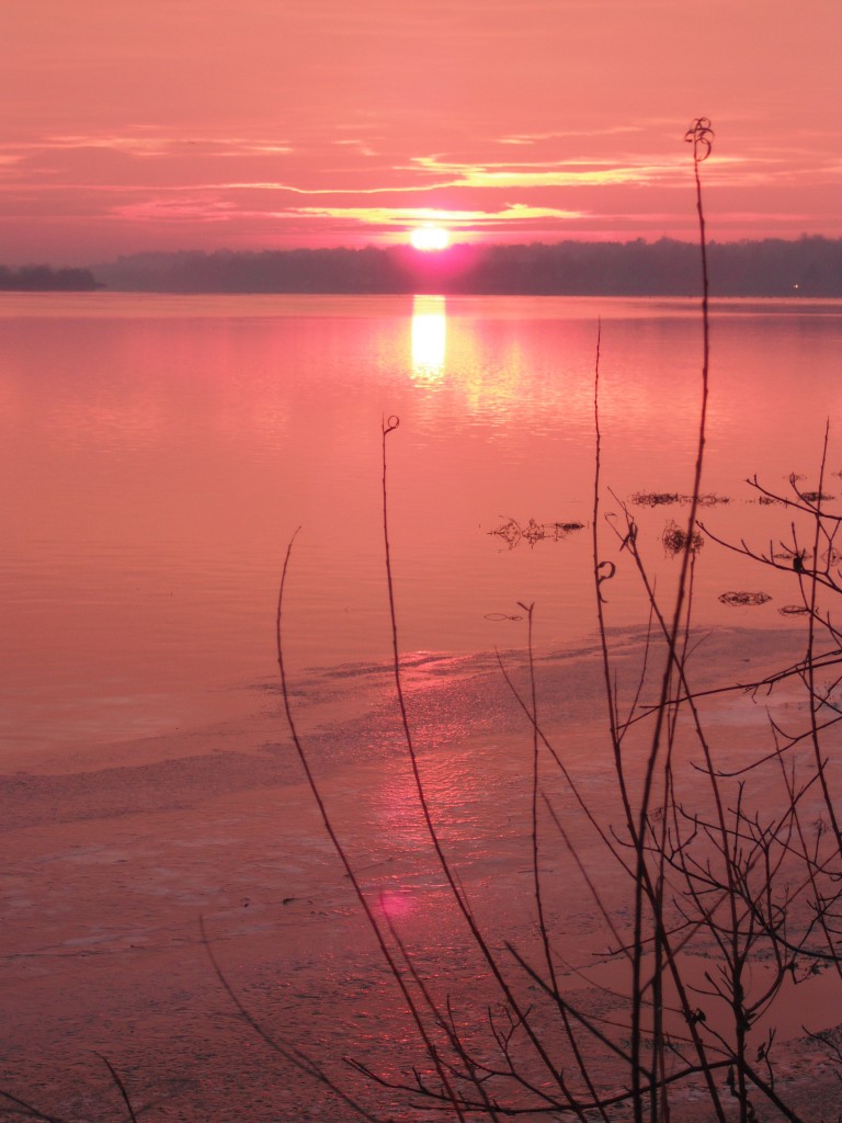 Sunrise at Bateman Island