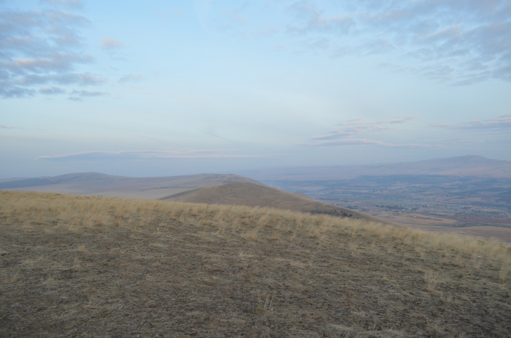 McBee Hill