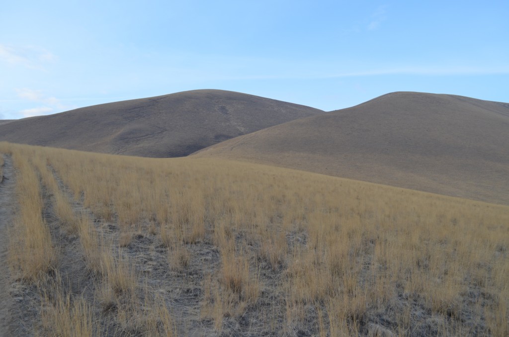 McBee Hill